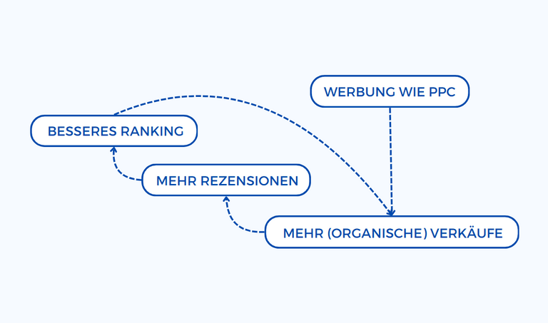 Amazon FBA Launch: This is how to succeed in the market introduction