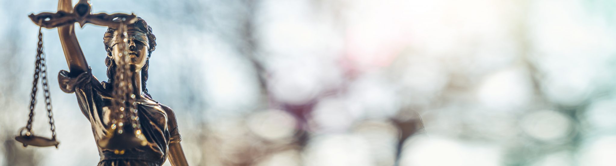 Amazon Wholesale vs. Private Label – All You Need to Know