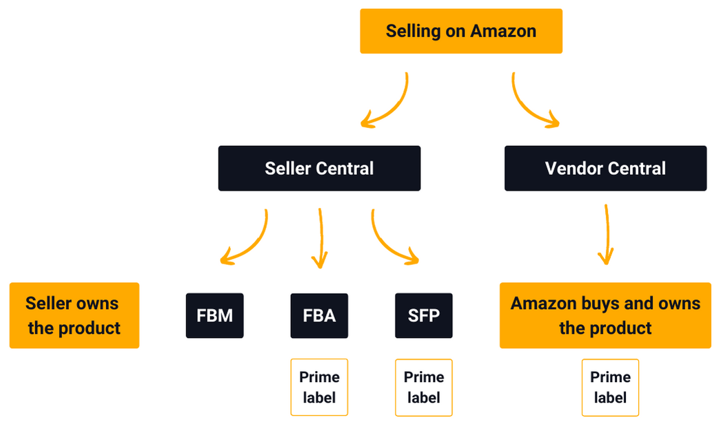 Amazon Vendor Vs. Seller – Differences and Difficulties for Online Sellers